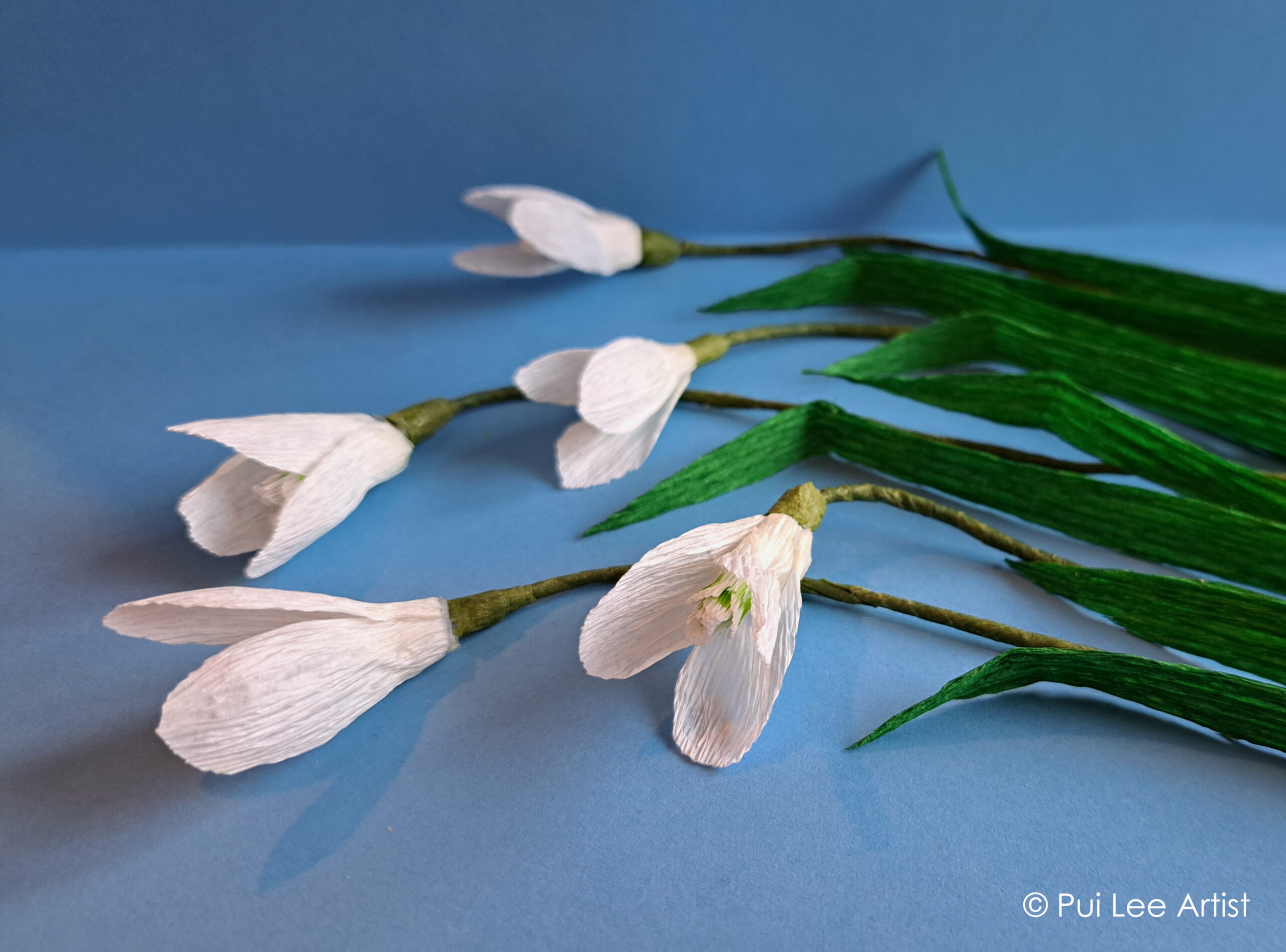 Spring Blooms - Snowdrops in Crepe Paper - Rydal Hall Retreat and Estate